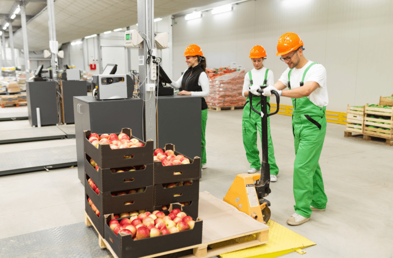 Handling and Storing Food Products - Food Manufacturing (SWMS)